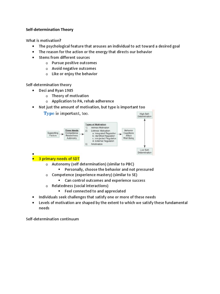 Self Determination Theory | PDF | Motivation | Motivational