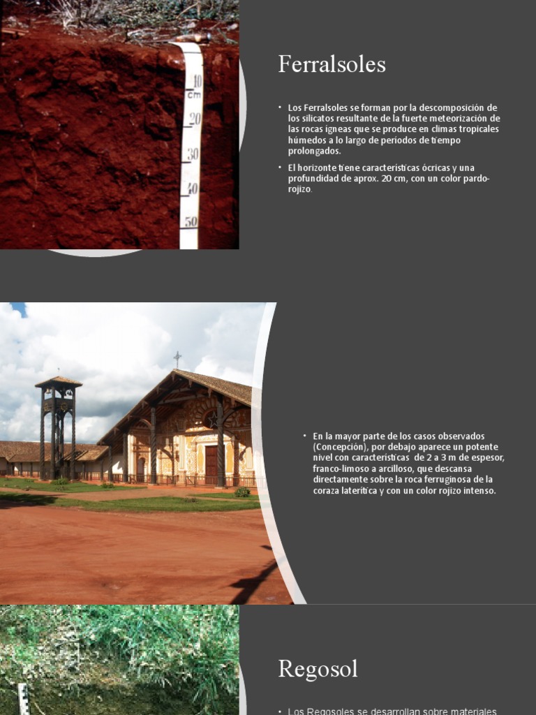 Ferralsoles - Regosol | PDF