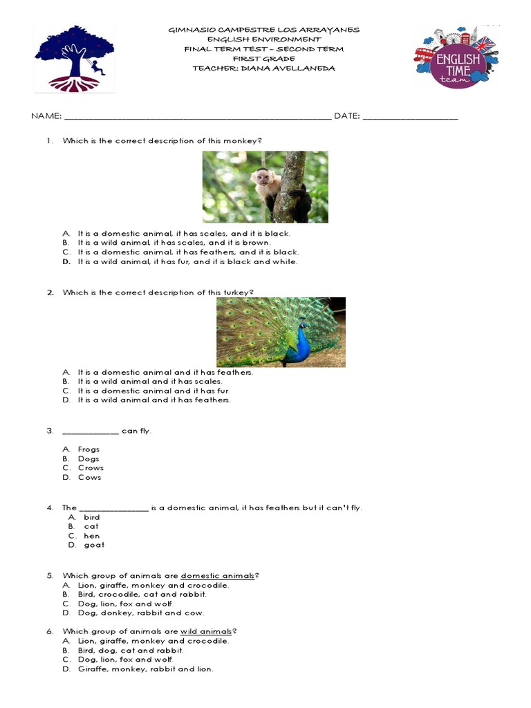Final-Term Test - First Grade | PDF | Fruit | Food And Drink