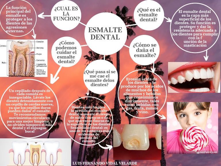 Esmalte Dental Histologia | PDF | Esmalte de dientes | Diente