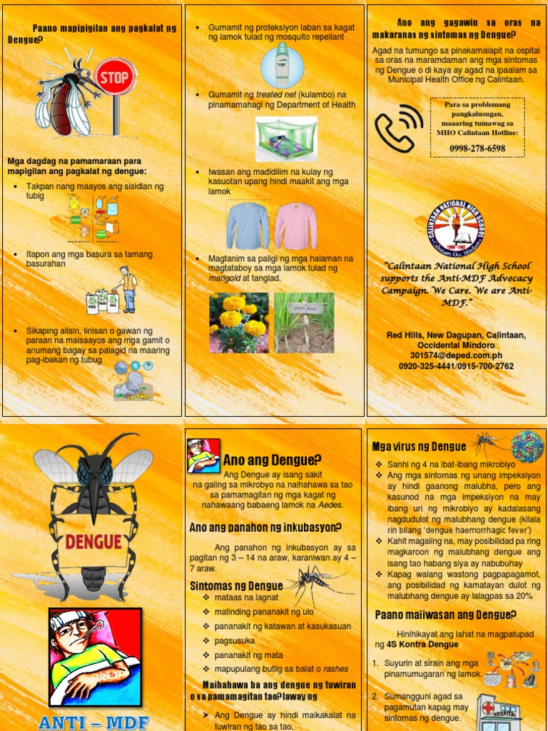 Dengue Leaflet | PDF