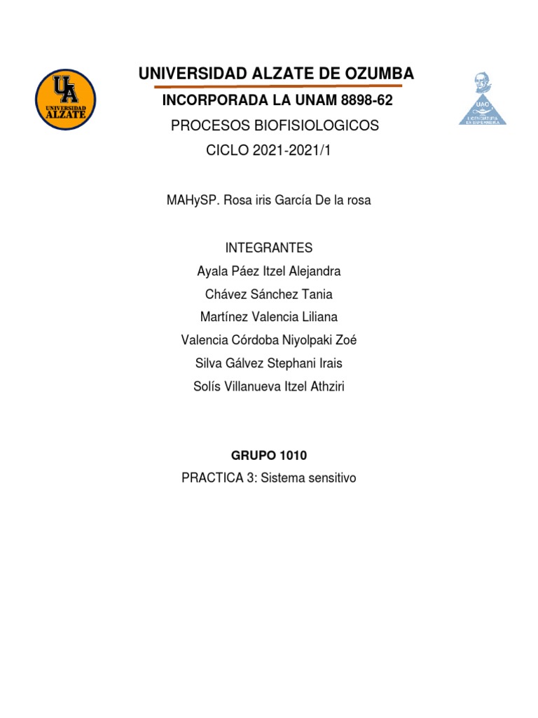 Practica 3. Sistemas Sensoriales. | PDF | Percepción visual | Corteza ...