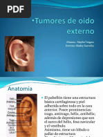 CAPÍTULO 17 - Prurigo Por Insectos (Cimiciasis) | PDF | Insecticida ...