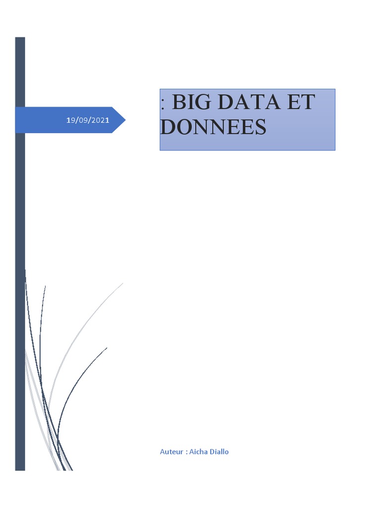 Big Data | PDF | Big data | Apache Hadoop