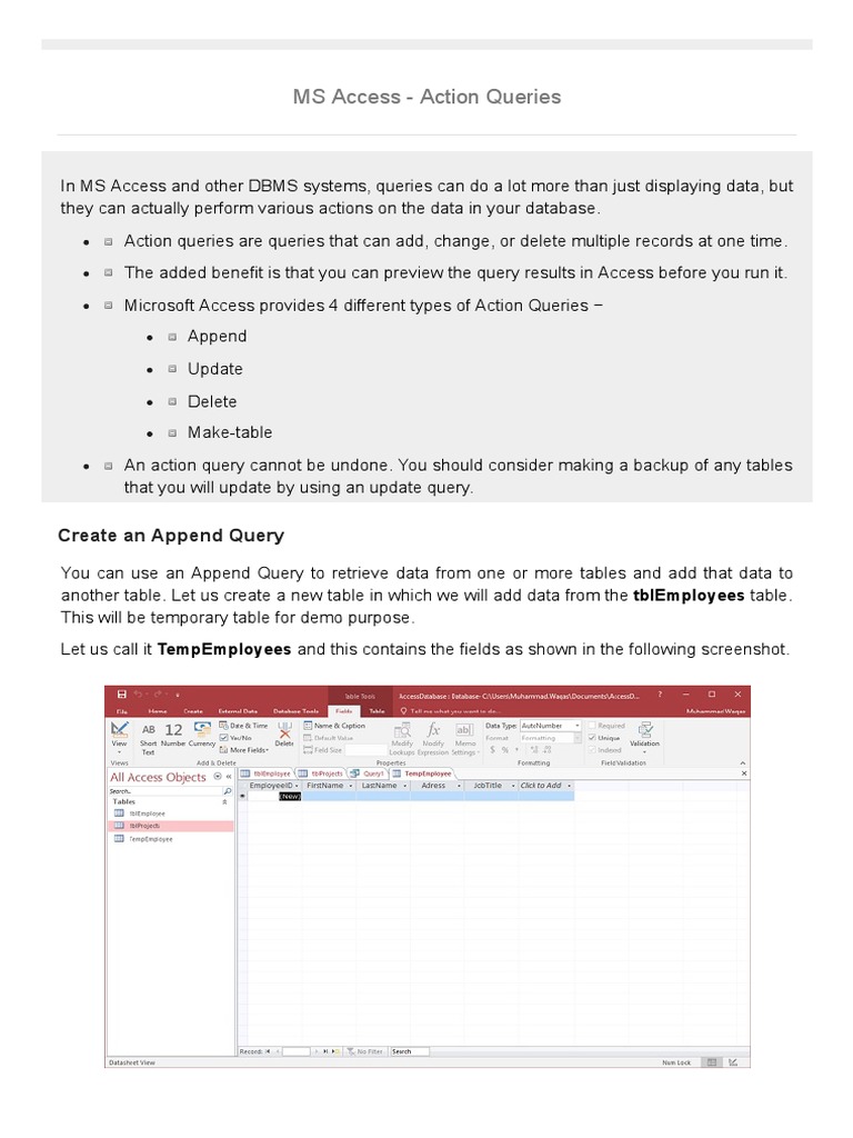 MS Access Action Queries Explained | PDF