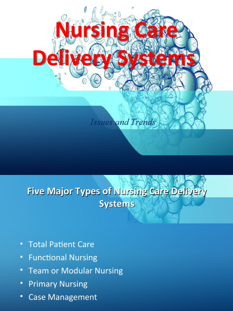 Nursing Care Delivery Systems | PDF | Nursing | Physician