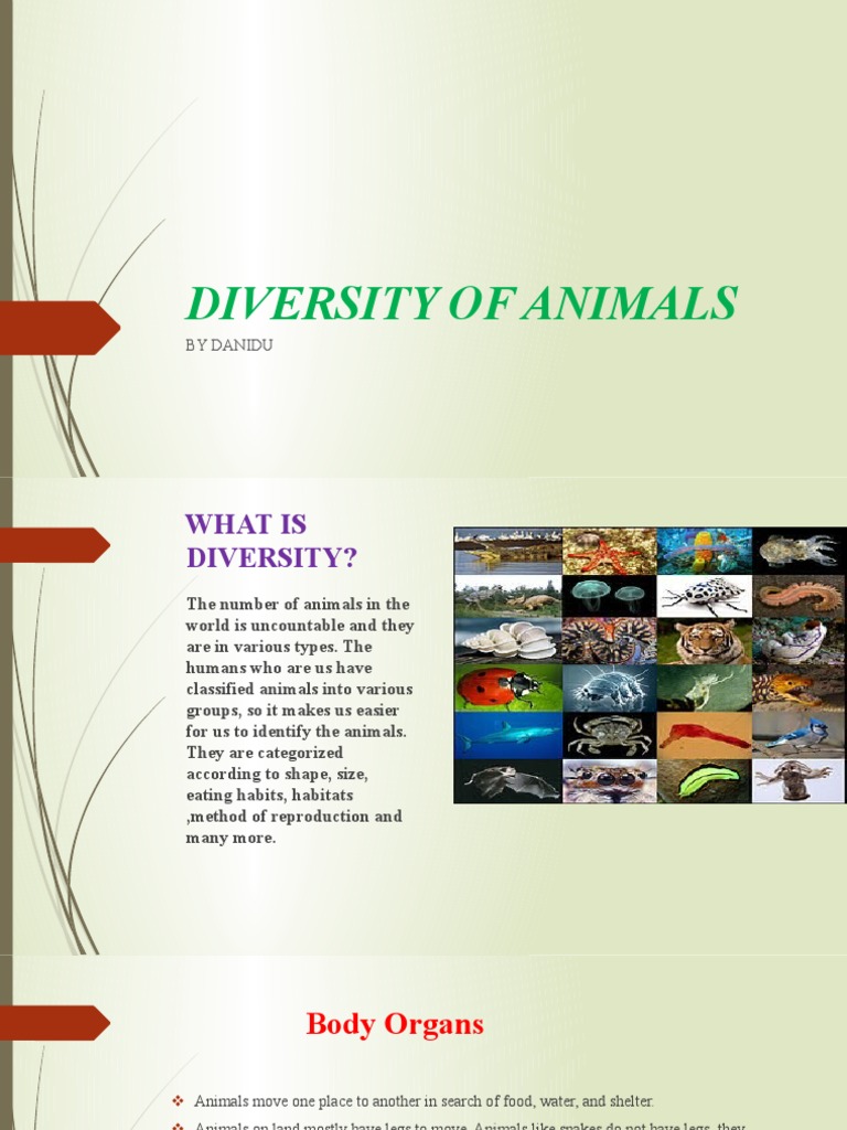 Diversity of Animals | PDF | Science & Mathematics