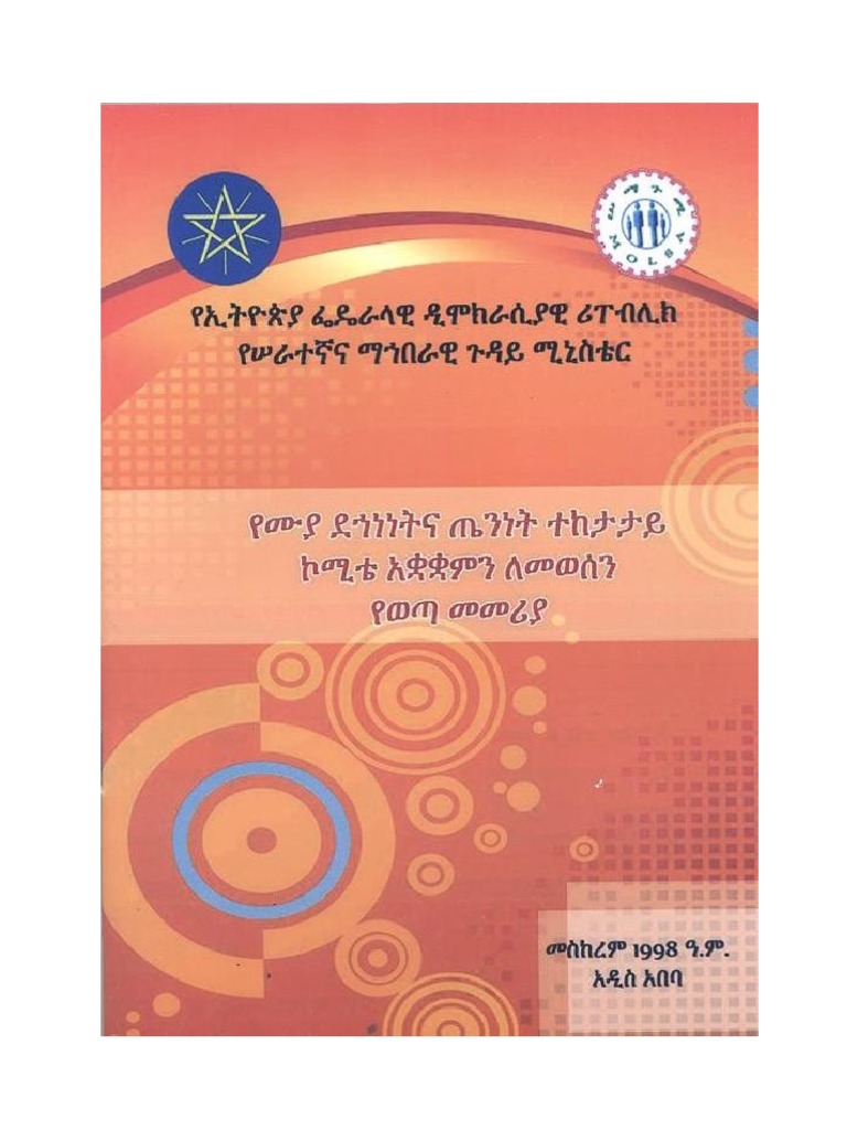Ethiopian Joint OSH Committee Directive | PDF