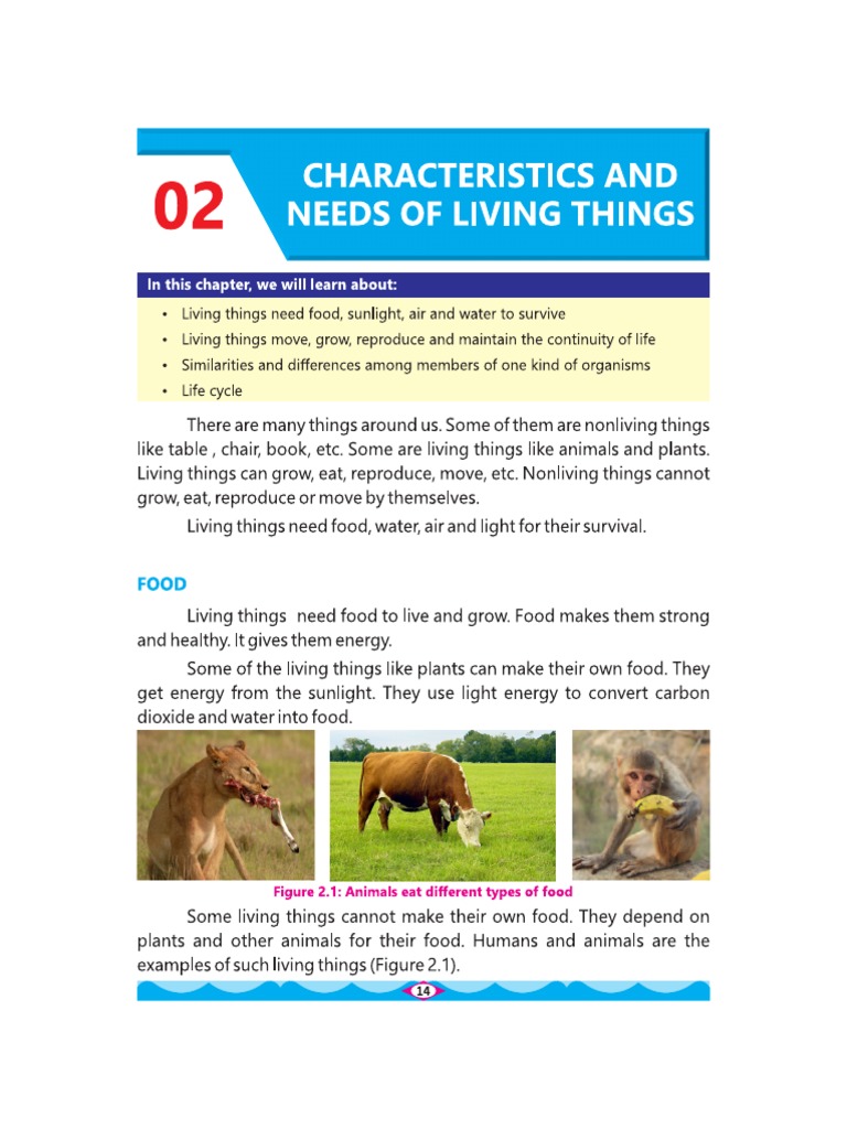 The Easy To Understand Characteristics and Needs of Living Things | PDF