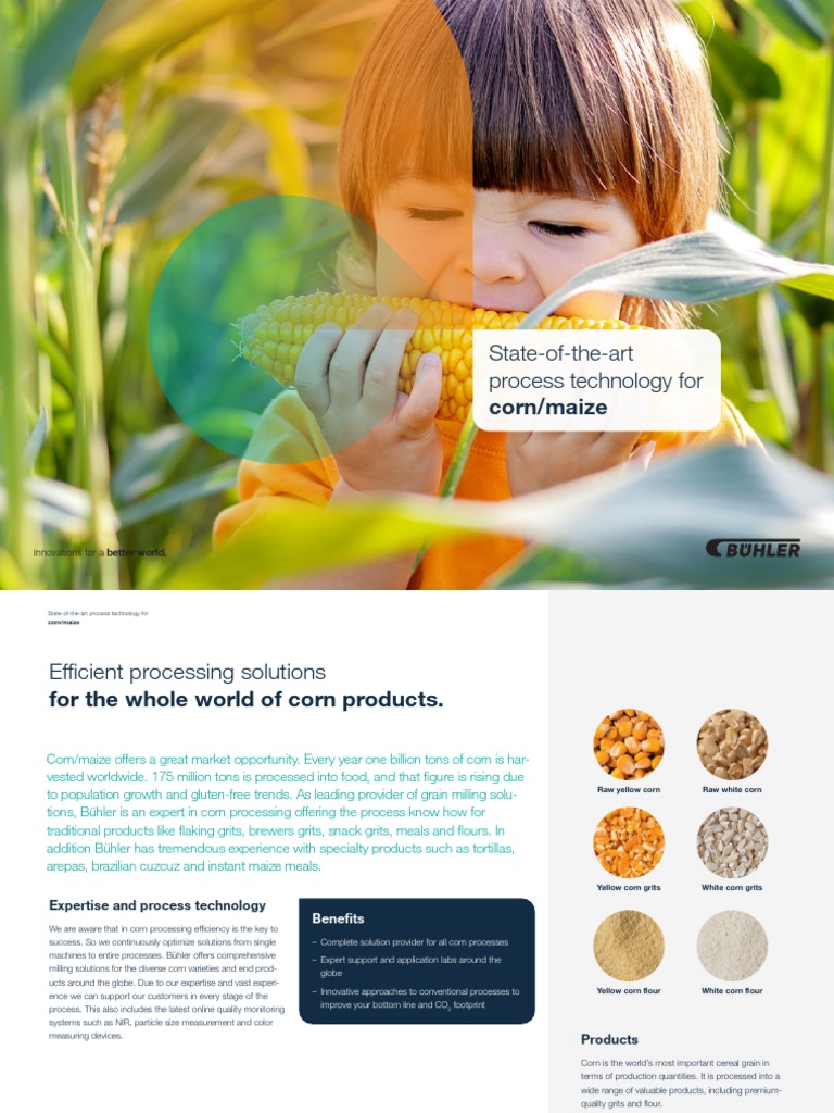 Brochure MS Corn Maize en Low | PDF | Cereals | Maize