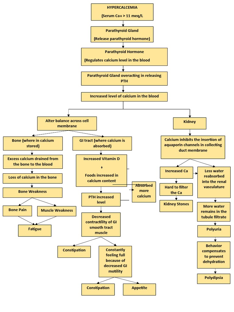 Hypercalcemia Pathophysiology | PDF | Parathyroid Gland | Medical ...