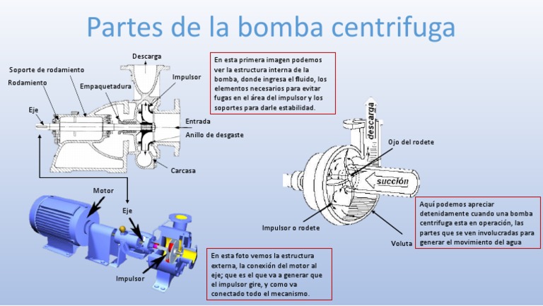 Partes Bomba Centrifuga | PDF
