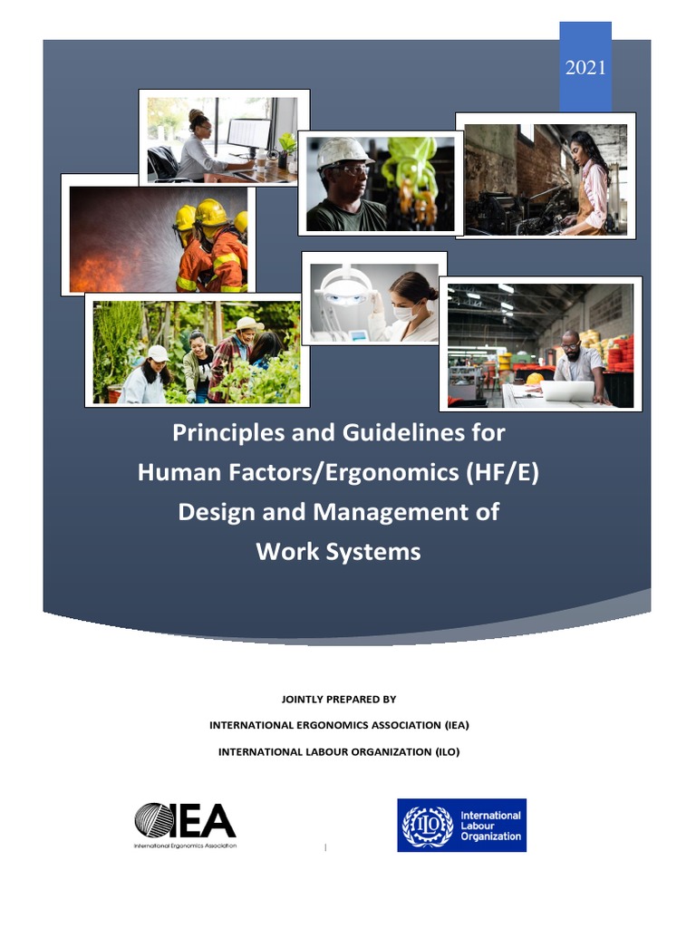 Principles and Guidelines June2021 | PDF | Human Factors And Ergonomics ...