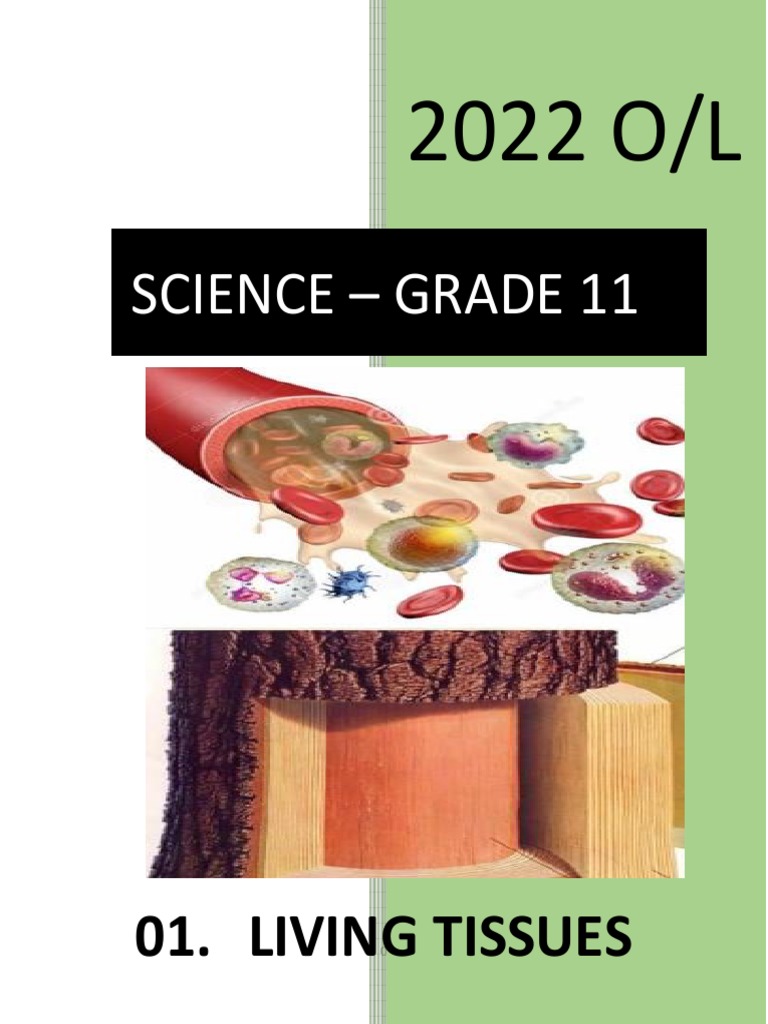 Living Tissues - Study Guide | PDF