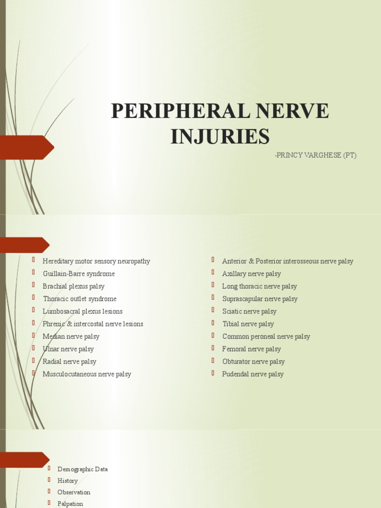 Peripheral Nerve Injuries | PDF | Elbow | Knee