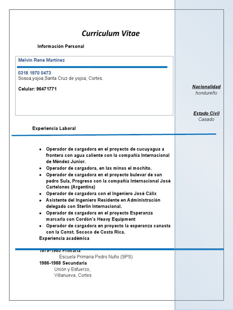 Curriculum Vitae Melvin | PDF