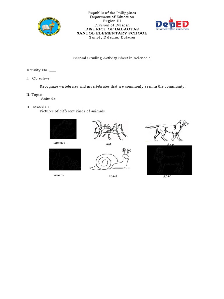 Grade 6 Animals | PDF | Invertebrate | Zoology