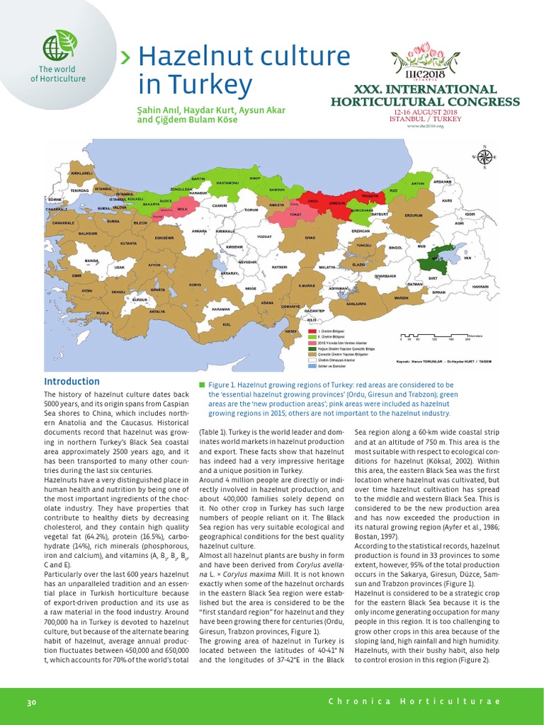 Hazelnut Production in Turkey | PDF | Agriculture | Plant Breeding