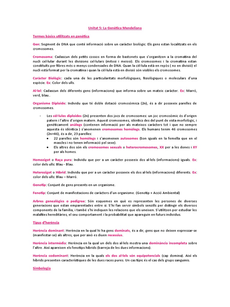 Esquema Unitat 5 | PDF
