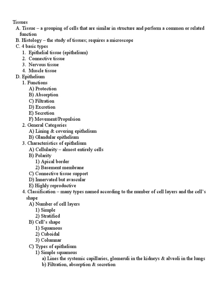 A Comprehensive Overview of the Four Basic Types of Tissues in the ...