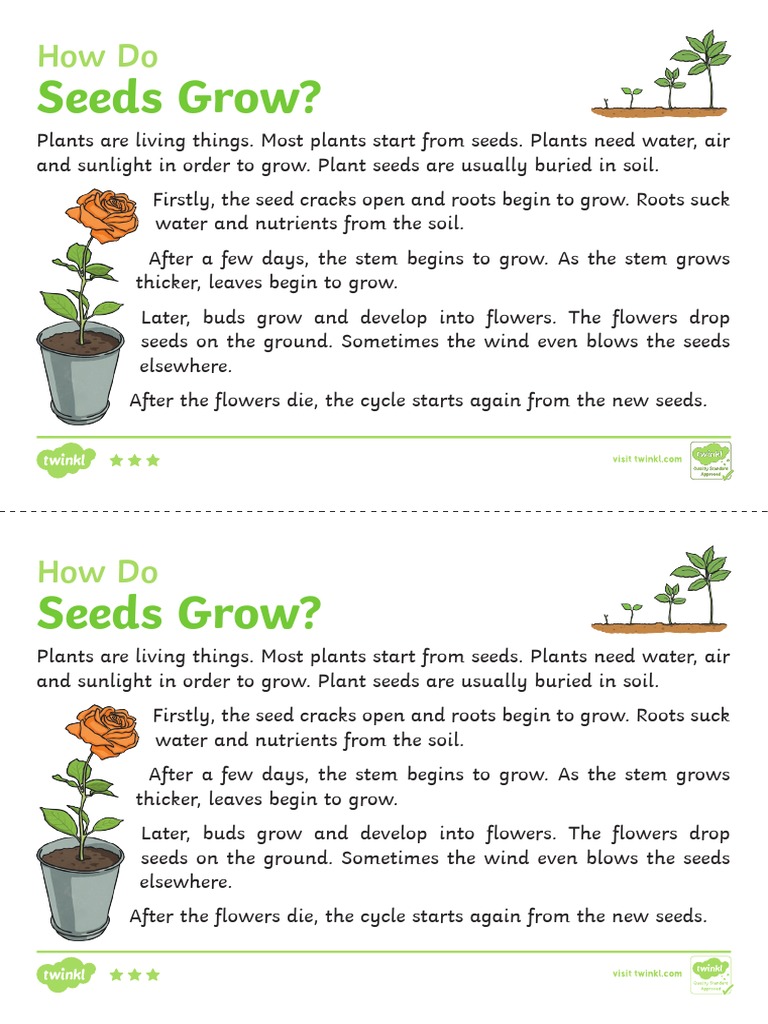 Au L 607 How Do Seeds Grow Explanation Writing Sample Ver 1 | PDF