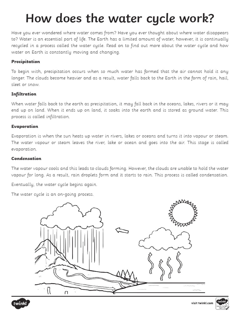 Au t2 e 2172 The Water Cycle Explanation Writing Sample Ver 6 | PDF
