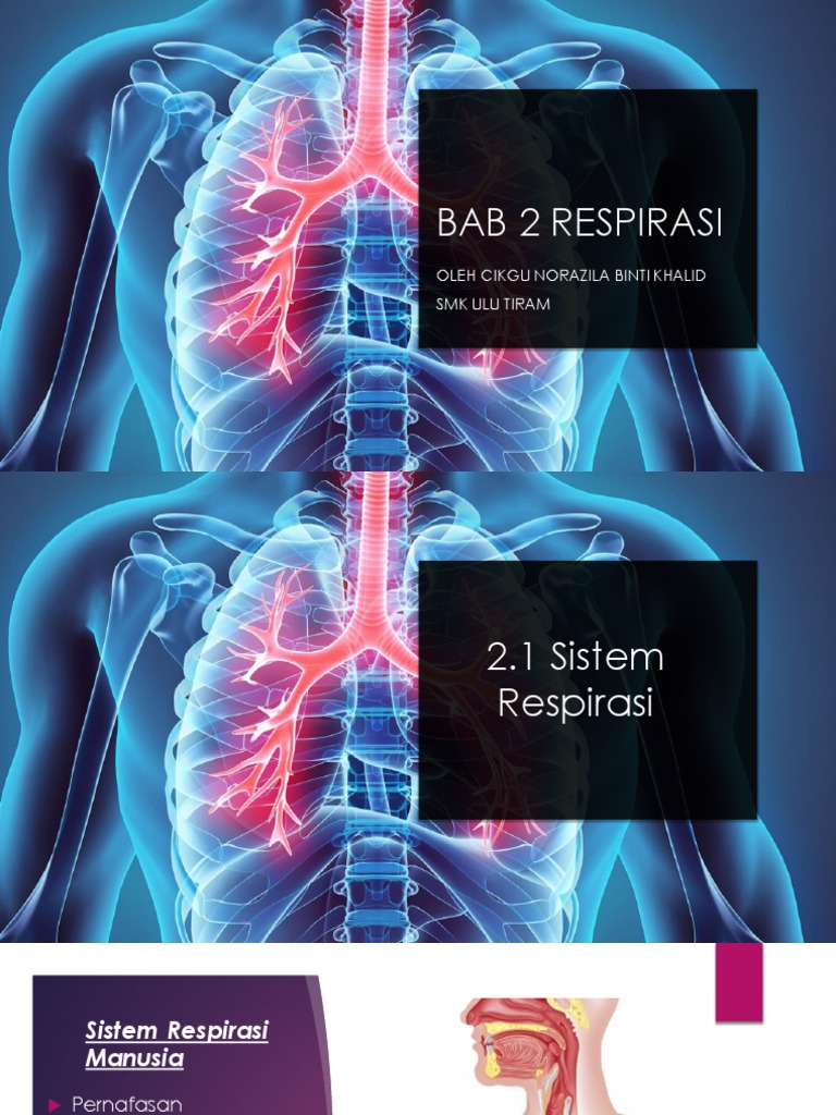 Bab 2 | PDF