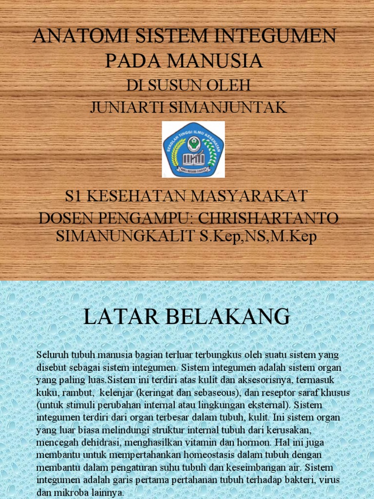 Anatomi dan Fisiologi Sistem Integumen | PDF