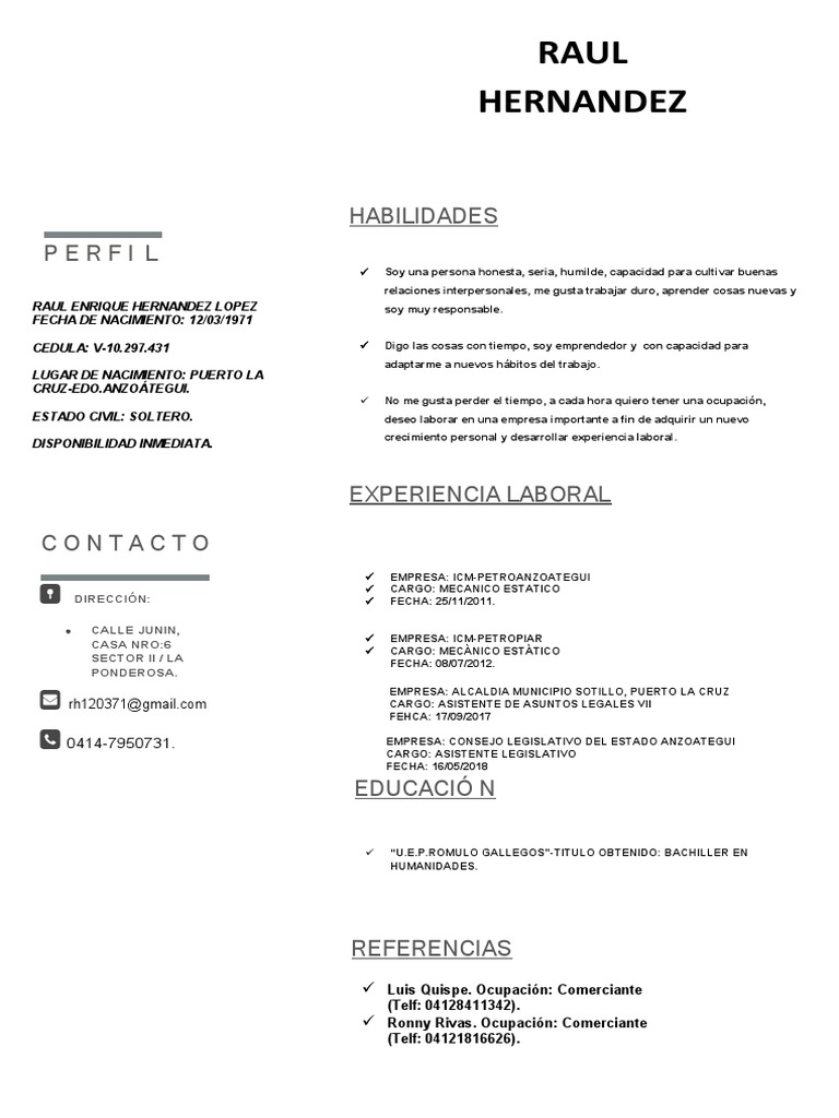 Curriculum de Raúl | PDF