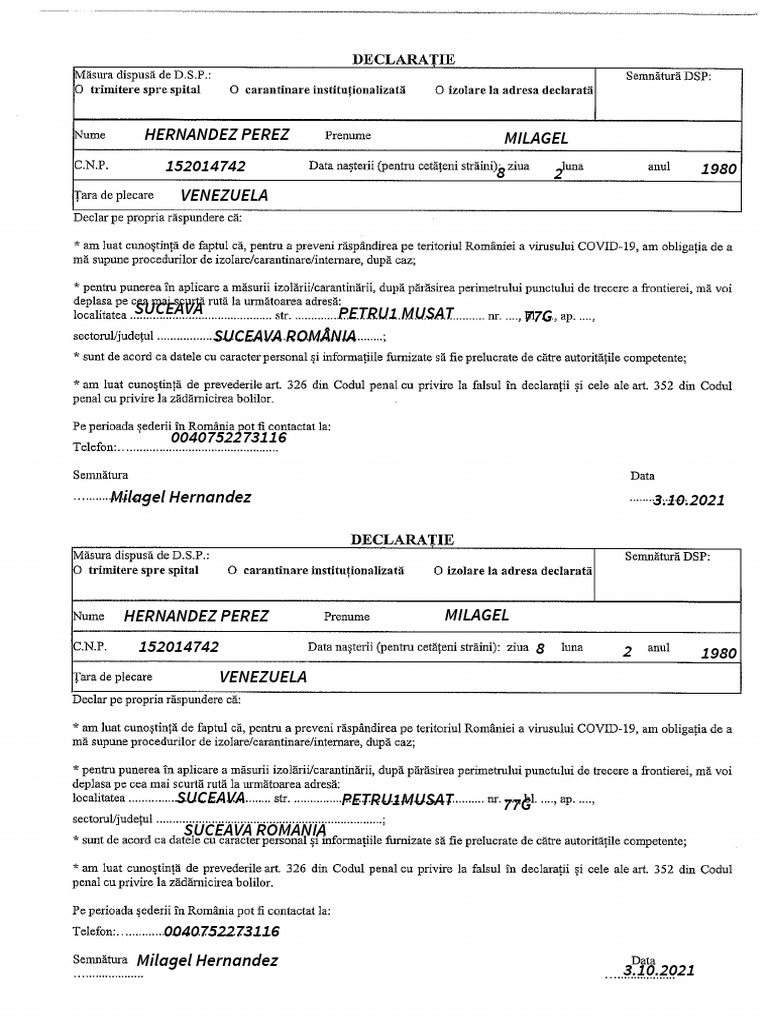 Passenger Form Romania - Ro | PDF