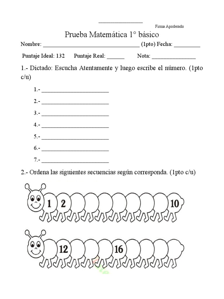 Prueba Matemática 1° Básico | PDF