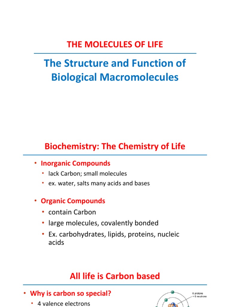 Lecture 3 Structure and Function of Biological Molecules | PDF | Fat ...