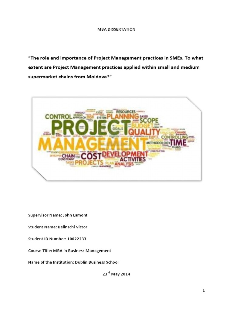 The Role and Importance of Project Management Practices in SMEs | PDF ...