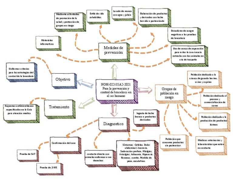 Mapa Mental | PDF | Leche | Medicina