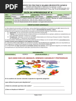 Cadena Alimenticia - Productores, Consumidores y Descomponedores PDF ...