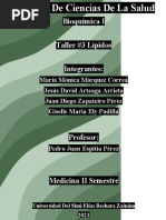 AZOADOS | PDF | Ciencia y matemáticas