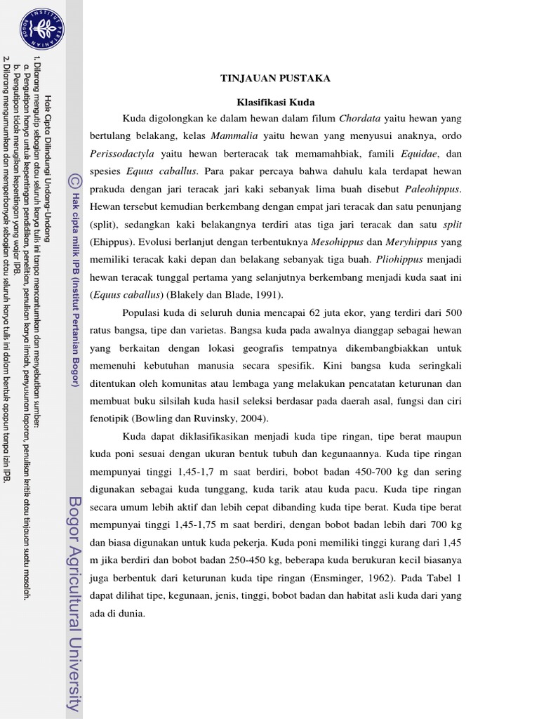 TINJAUAN PUSTAKA Klasifikasi Kuda | PDF