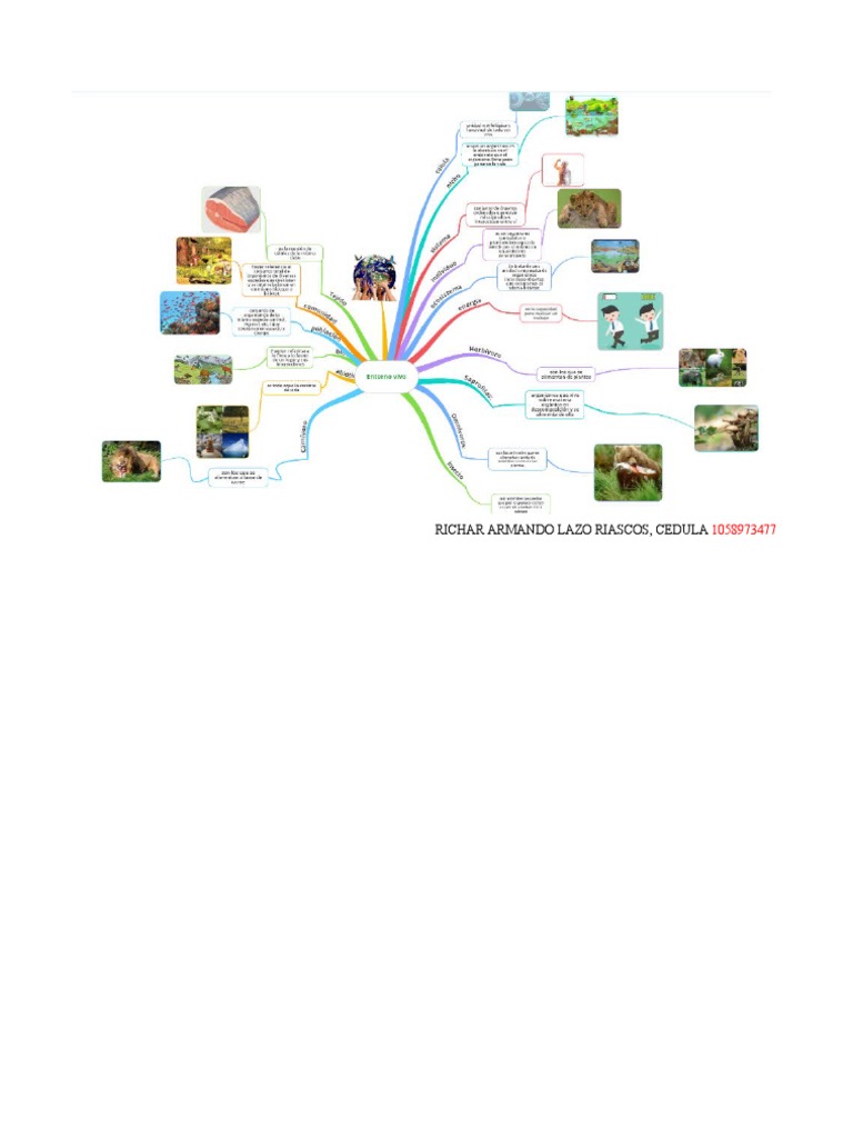 Datos de Richar Lazo Riascos | PDF