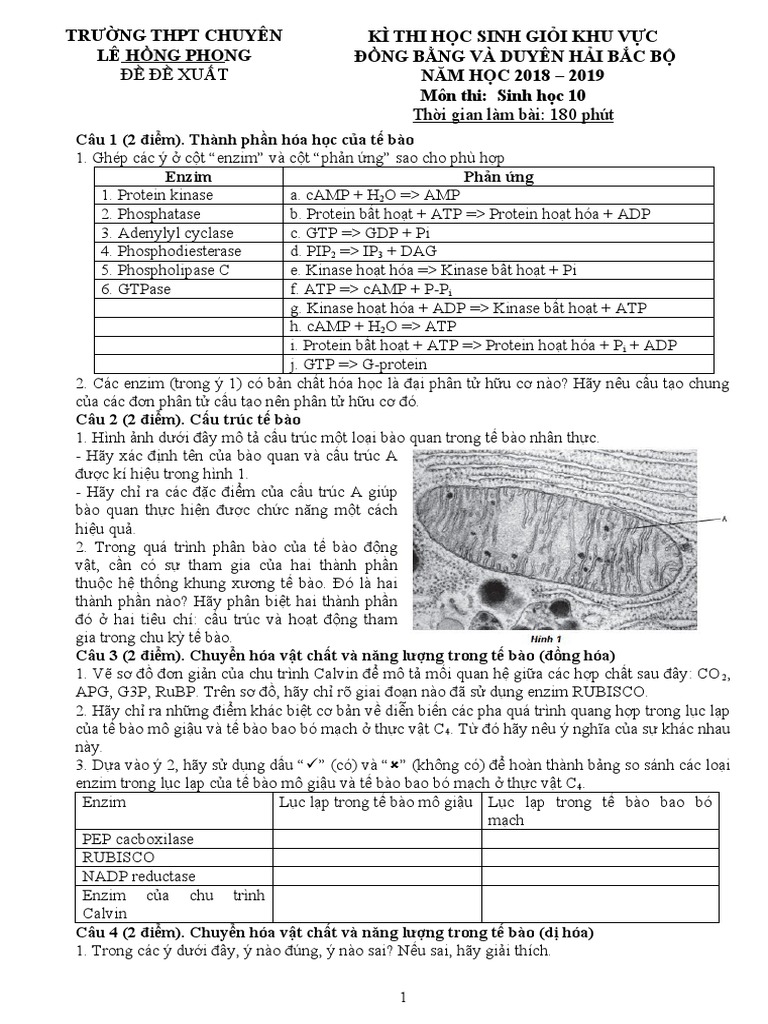 (Lib24.vn) De-Thi-Chon-Hsg-Sinh-Hoc-Duyen-Hai-Va-Dong-Bang-Bac-Bo-Sinh-10-Nam-Hoc-2018-2019 ...