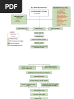 Coronary Artery Disease (CAD Pathophysiology) | PDF | Angina Pectoris ...