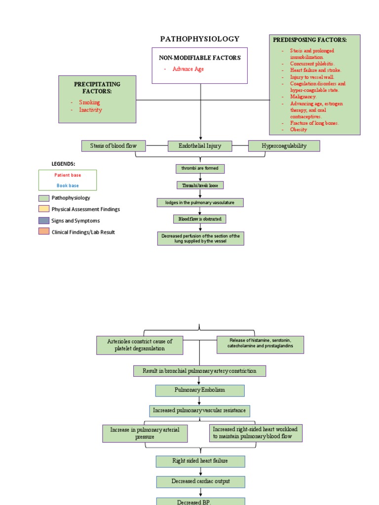 Pathophysiology of Pulmonary Embolism (Loria.J) | PDF | Blood Vessel | Lung