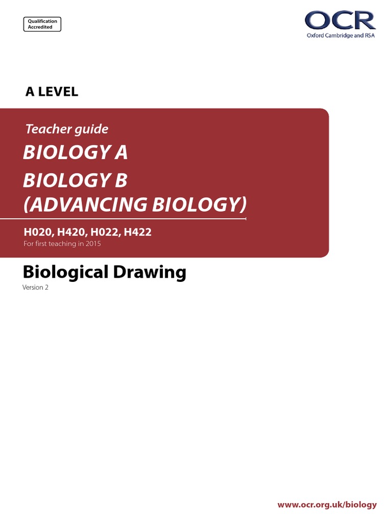 Biology Drawing Skills Handbook | PDF