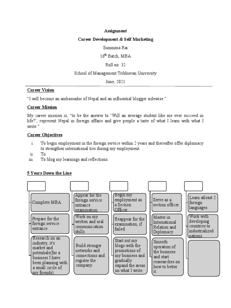 Assignment Career Development & Self Marketing: Year-1 Year - 2 Year ...