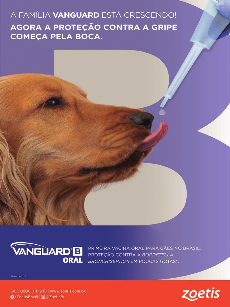 Vanguard B Oral Material Tecnico | PDF | Cães | Vacinas