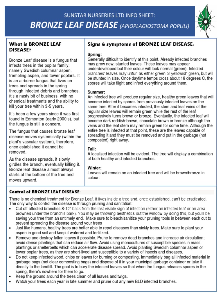 Info Sheet - Bronze Leaf Disease | PDF | Trees | Pruning