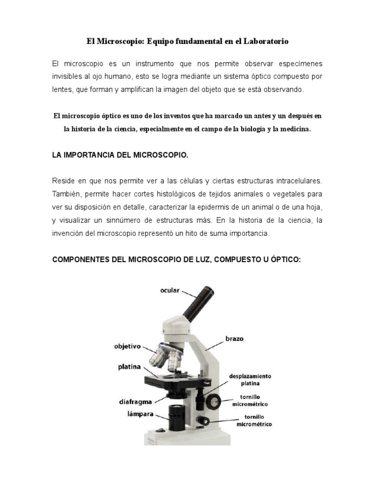Tarea El Microscopio | PDF | Óptica | Microscopio