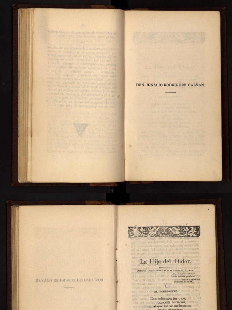 Ignacio Rodriguez Galvan | PDF