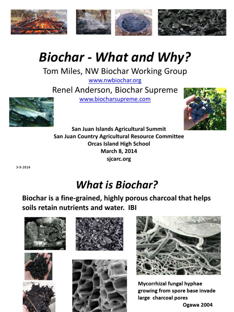 Biochar What and Why Tom Miles, NW Biochar Working Group WWW ...