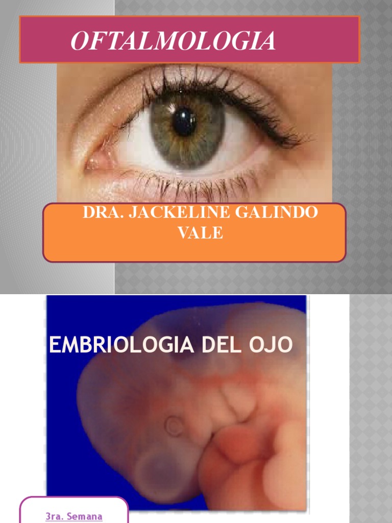 Embriologia, Anatomía y Fisiología Del Ojo | PDF | Ojo humano ...