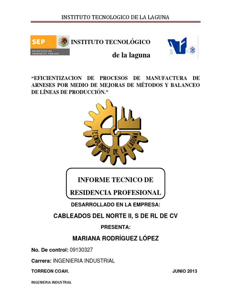 Informe Tecnico de Residencia Profesional | PDF | Lean Manufacturing | Producción y fabricación